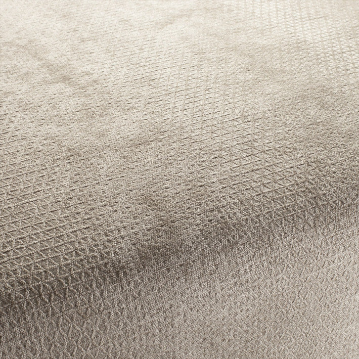 Scopus Fabric – Surrey Lifestyle